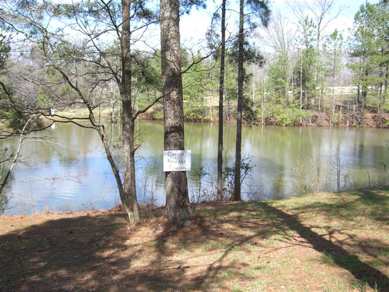 The Ridge Riding Park: OHV, ORV, Dirt Bike and ATV Trails plus ...