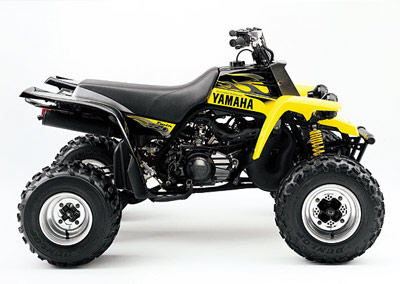 Black And Yellow Banshee